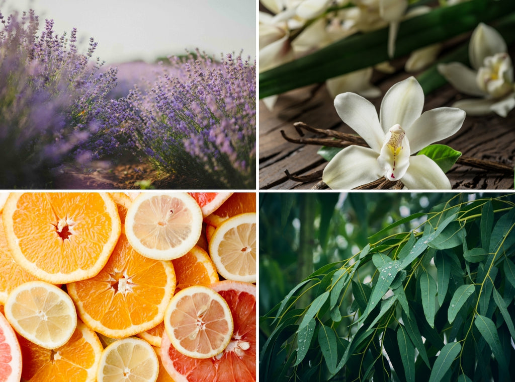 5 Feel-Good Scents That Can Actually Improve Your Mood – Grow Fragrance