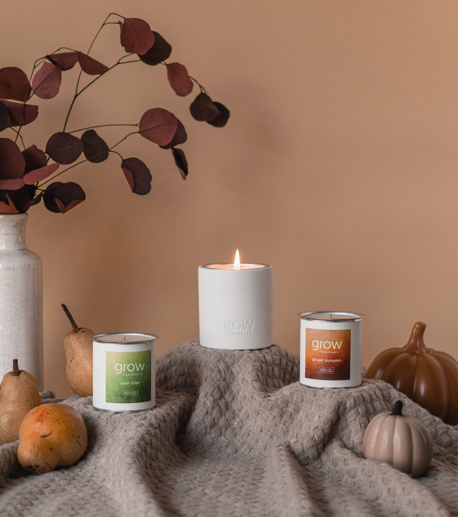 3 Best Non-toxic Fall Candles of 2023 – Grow Fragrance