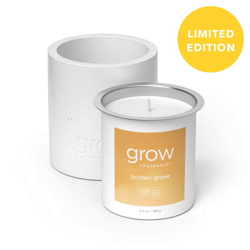 Golden Grove Candle – Grow Fragrance